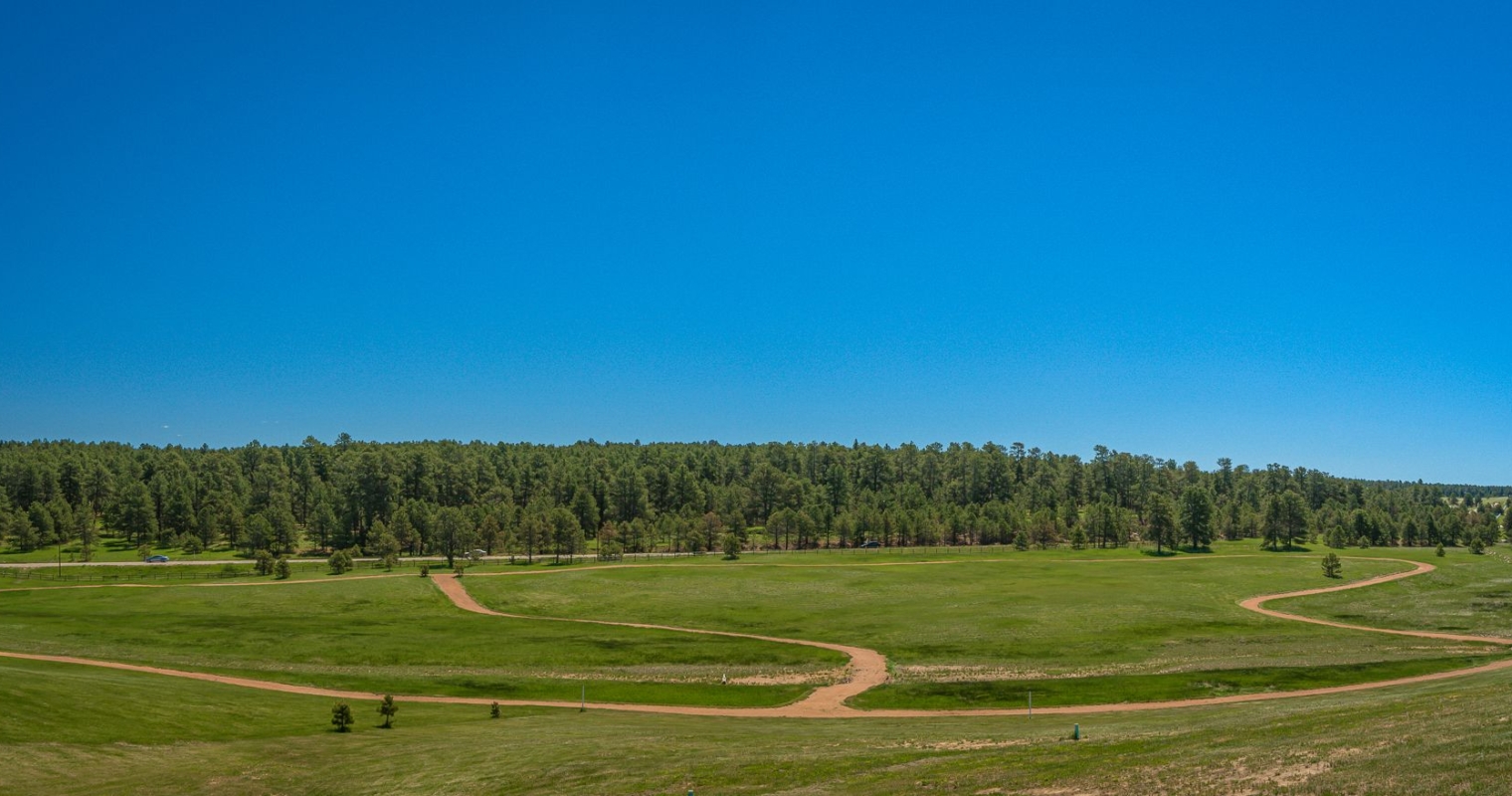 17229 Old Cherokee Trail, Colorado Springs, CO 80921 - Make Your Best Move